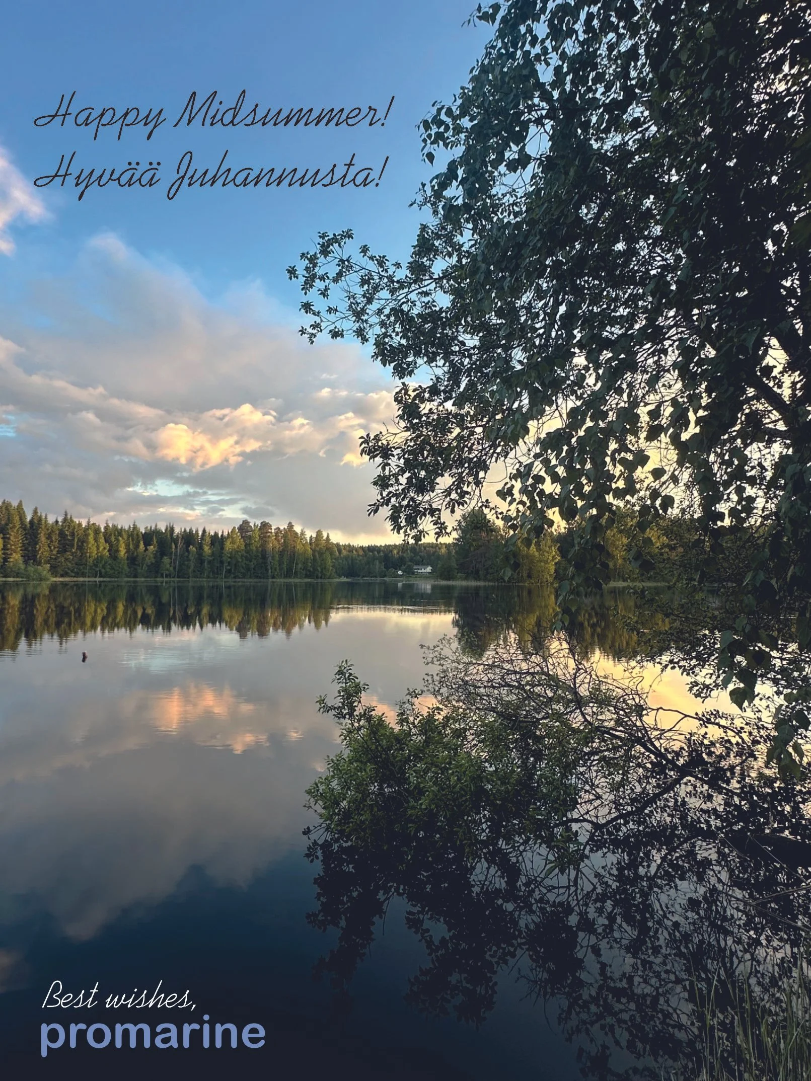 Happy Midsummer! — Promarine