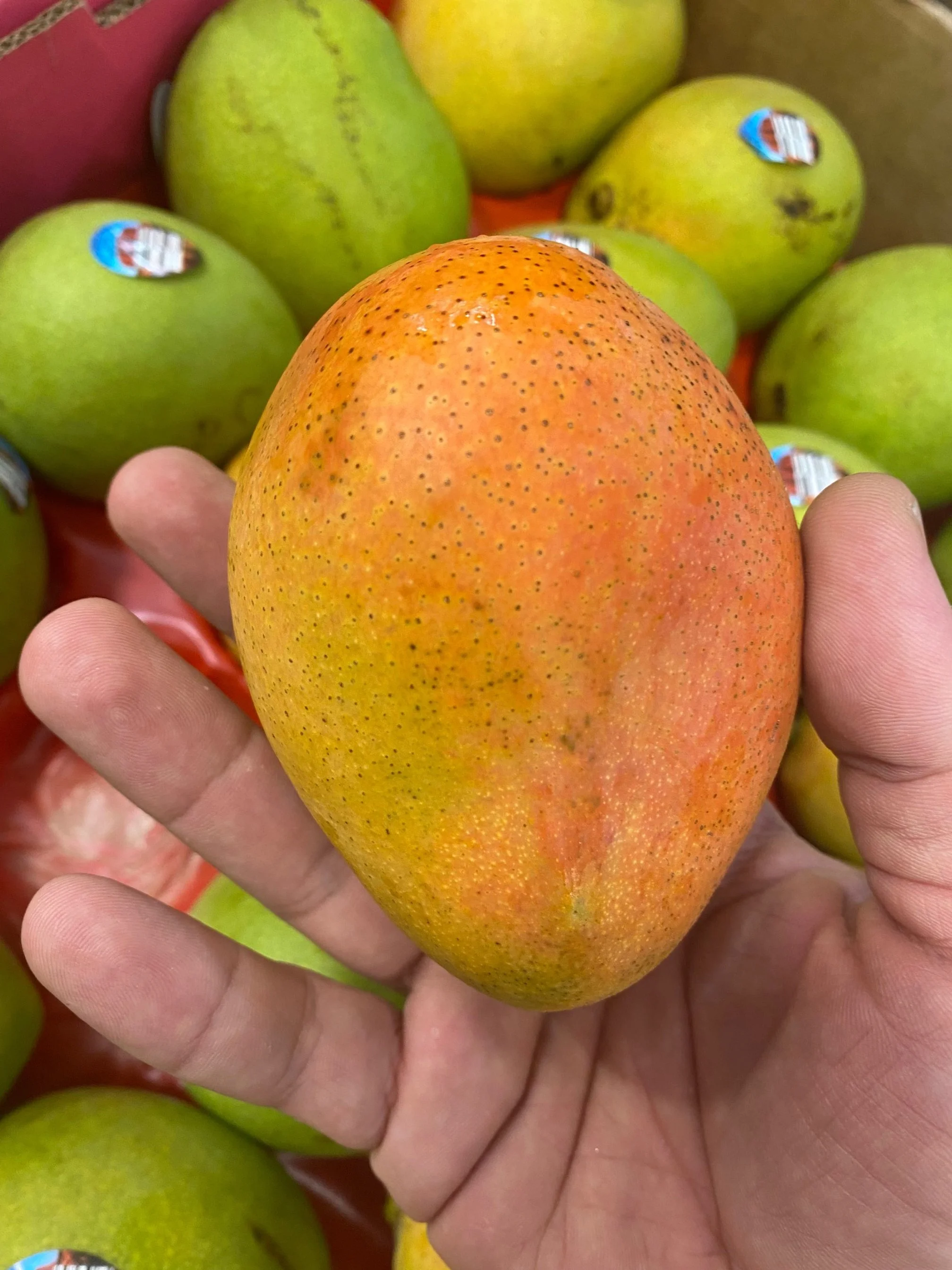 Produce Art