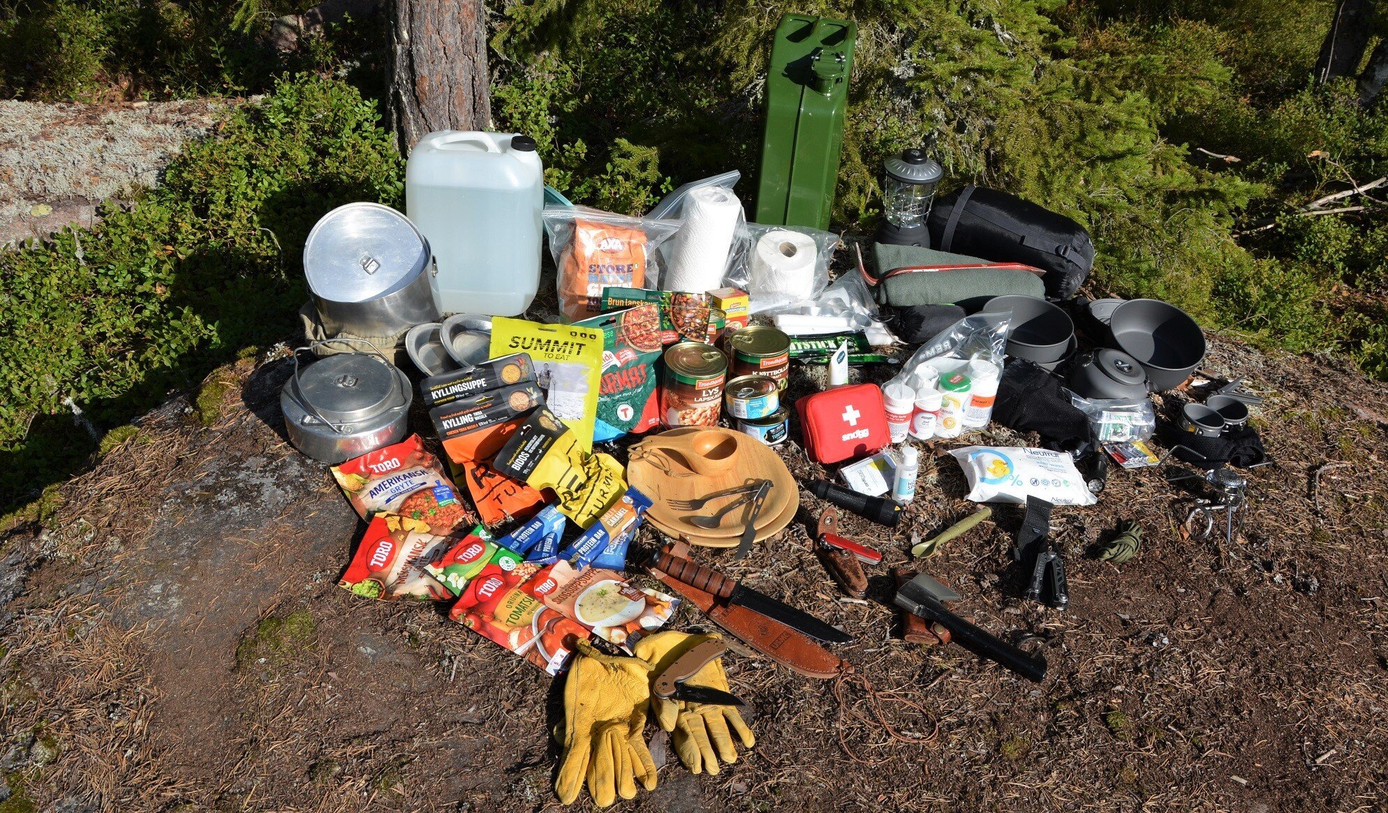 Survival Guide From Norwegian Government By Tyr Neilsen — Academy Of Viking Martial Arts