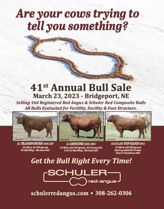 Annual Bull Sale — Schuler Red Angus