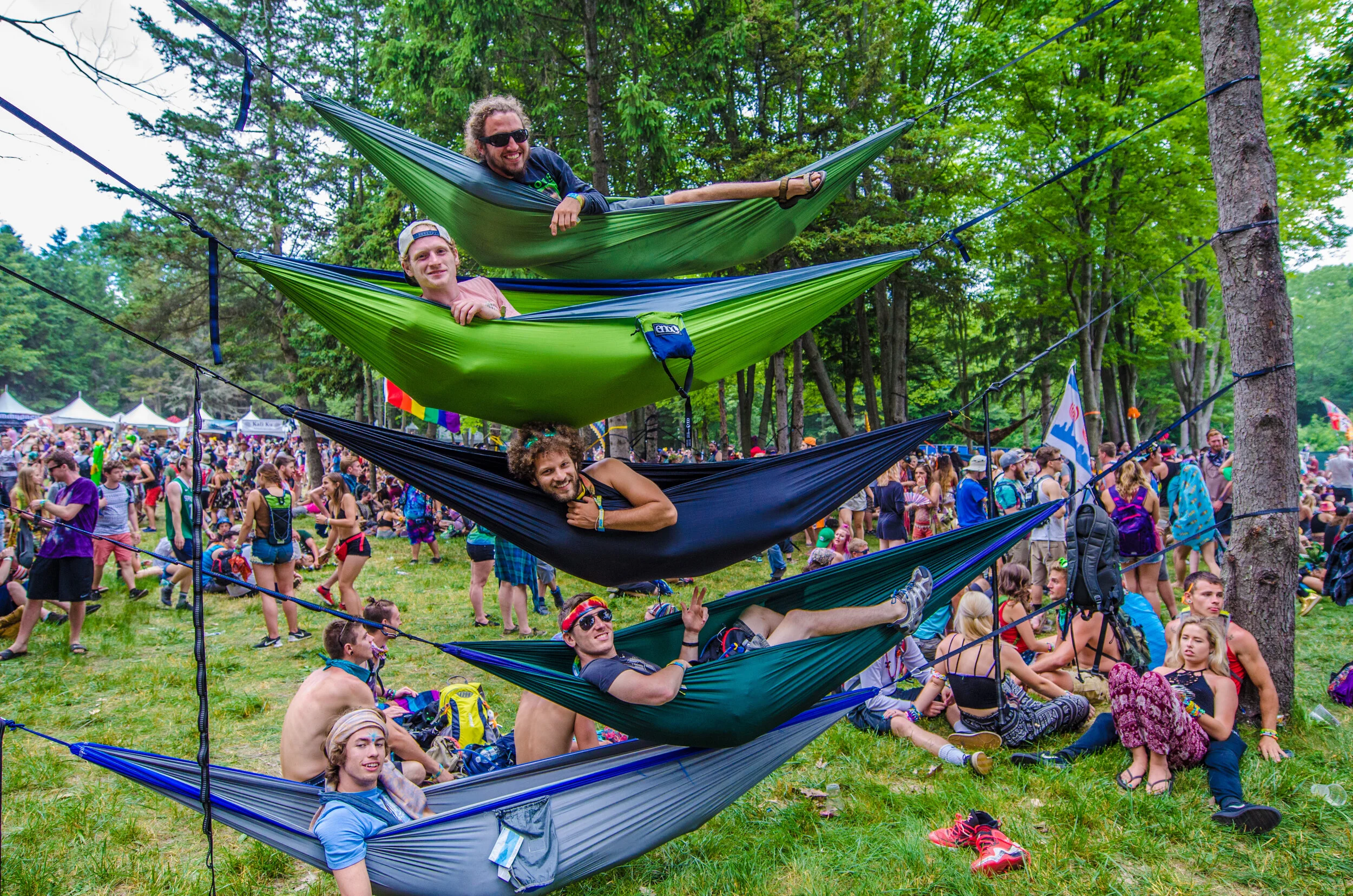 Electric Forest Hammock