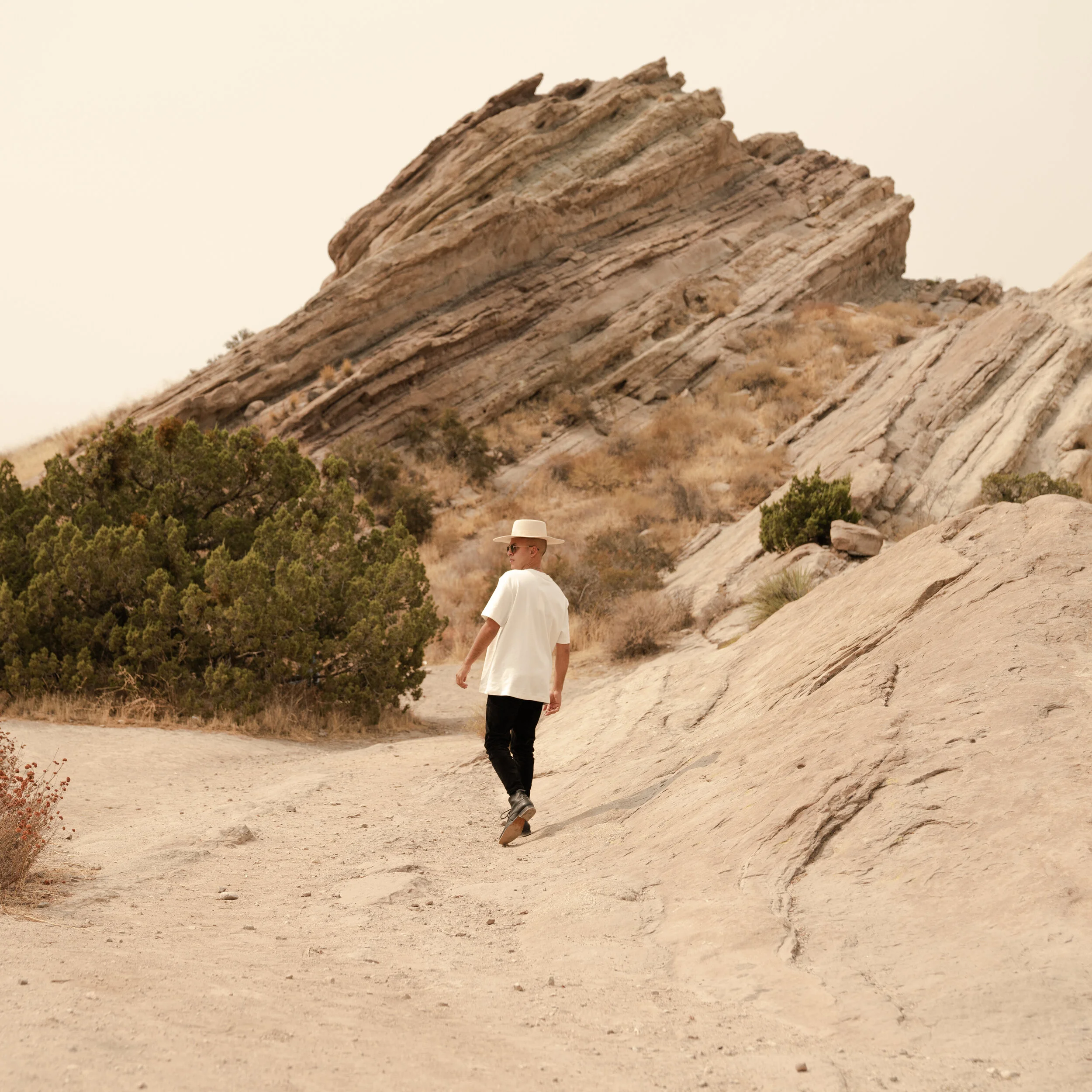 Artists — Electric Feels