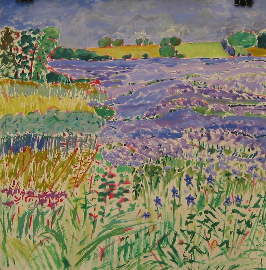 LANDSCAPES — Lynn Malin