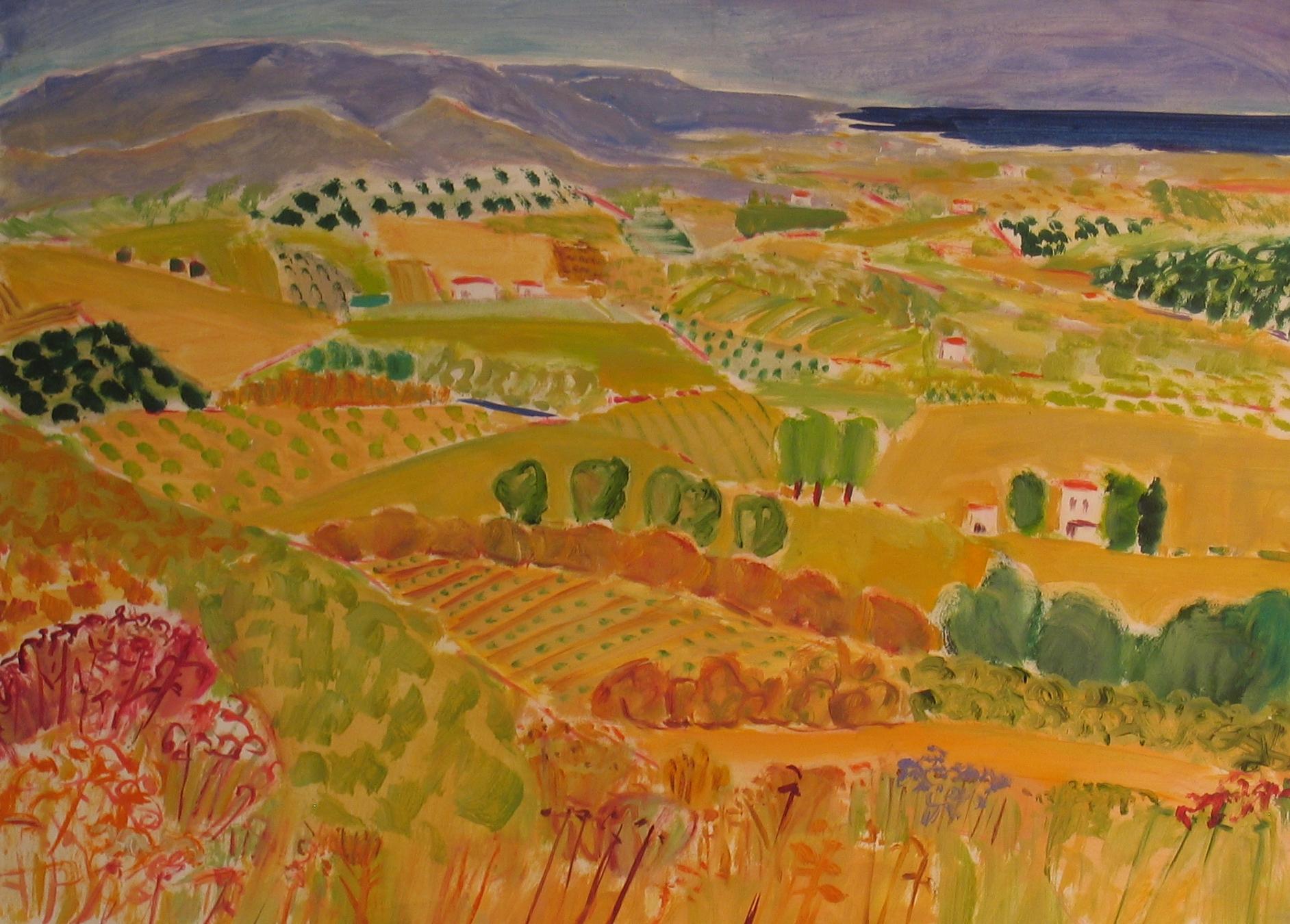 LANDSCAPES - SPAIN — Lynn Malin
