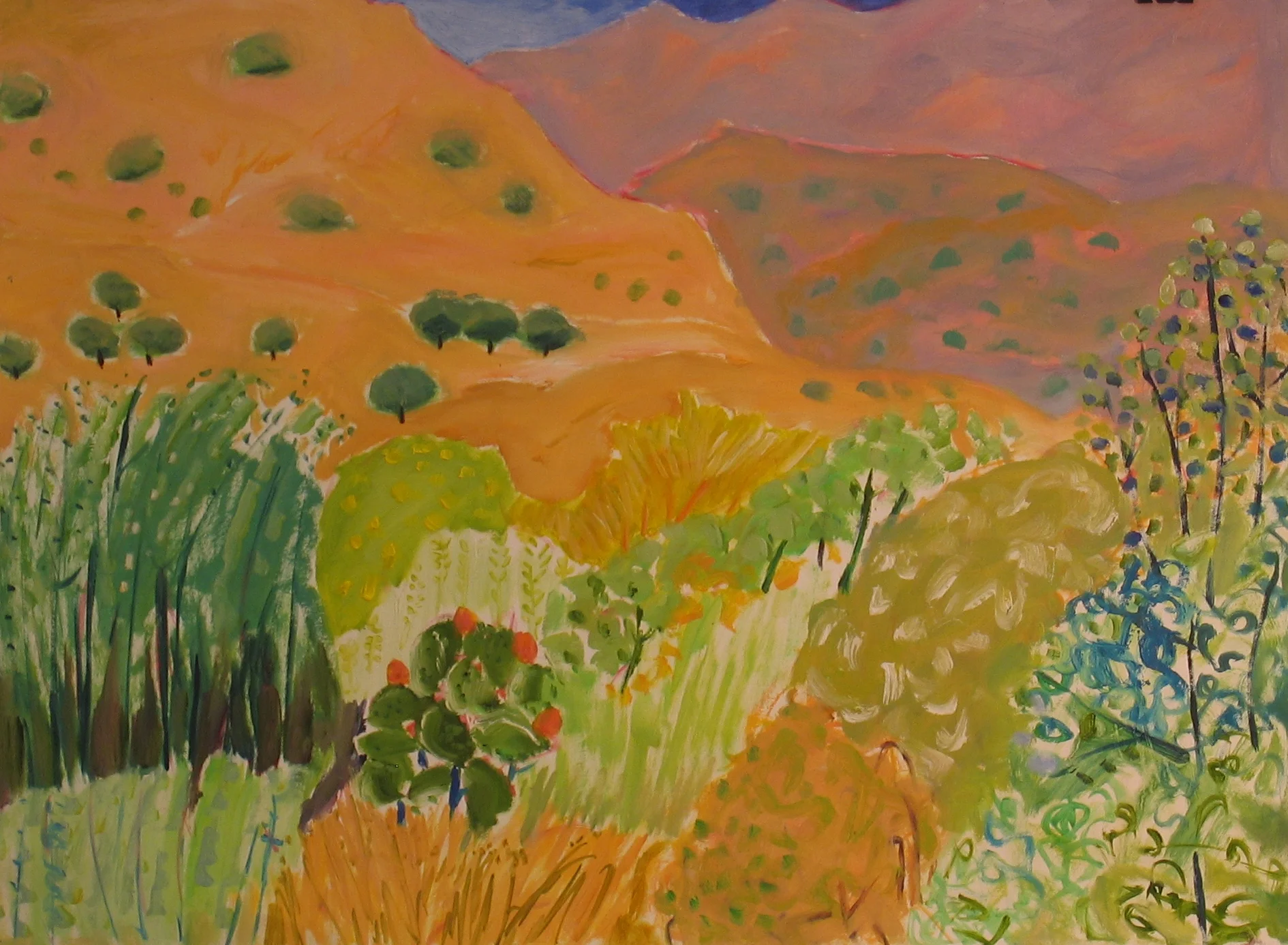 LANDSCAPES - SPAIN — Lynn Malin