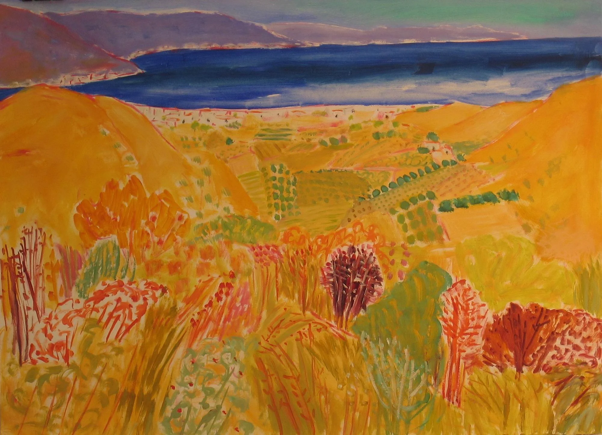 LANDSCAPES - SPAIN — Lynn Malin