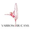 YARROW'S STORY — YARROW BUCANS