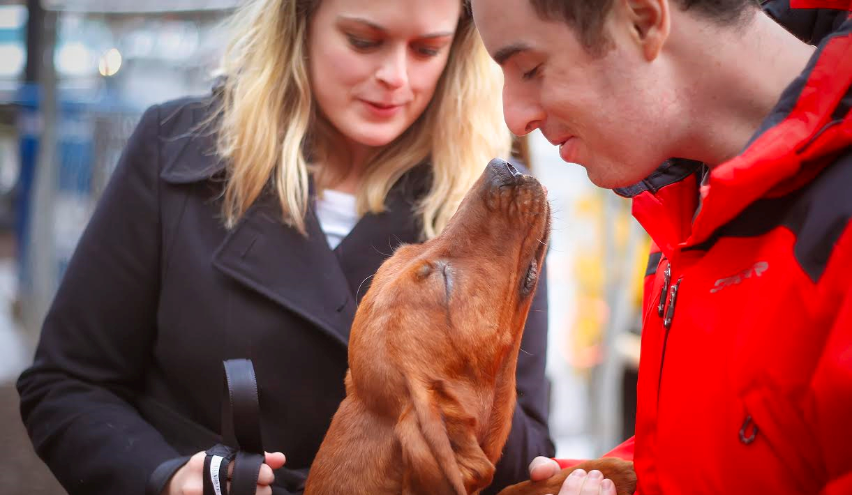 Volunteer — Rural Dog Rescue