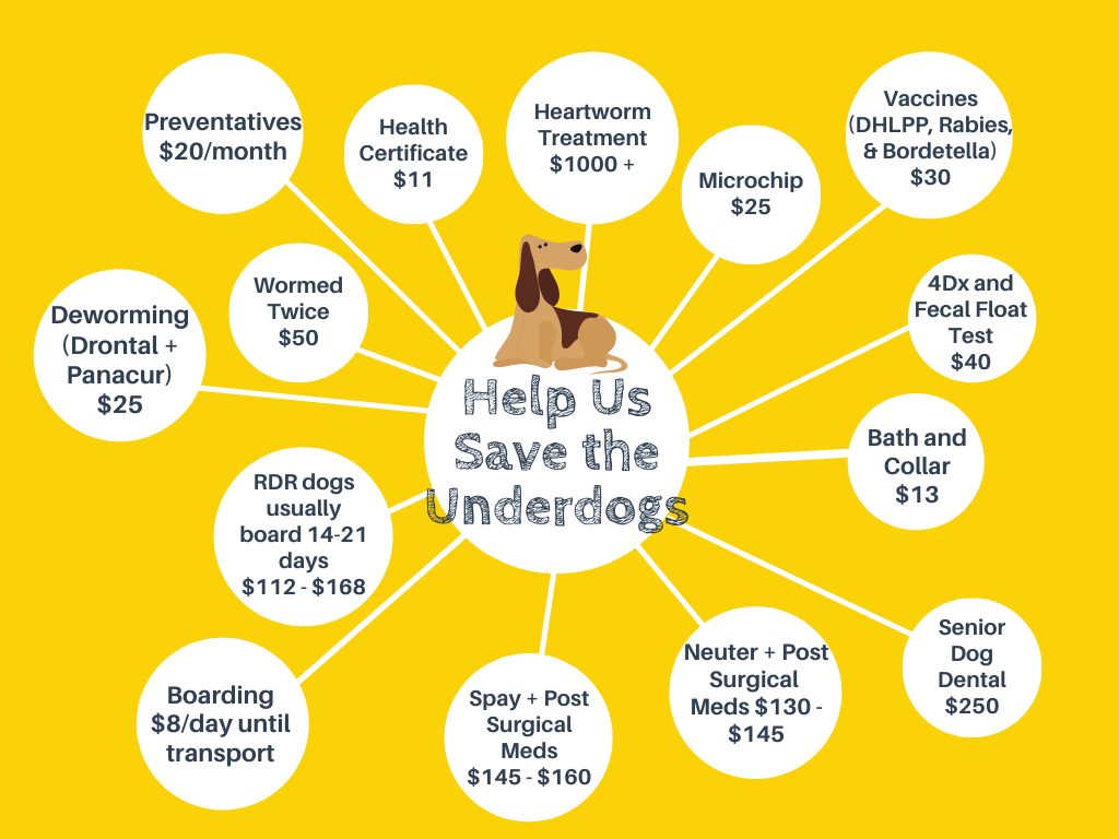 Ways to Donate — Rural Dog Rescue