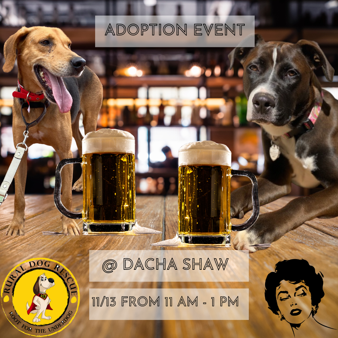 Dacha (Shaw) Adoption Event — Rural Dog Rescue