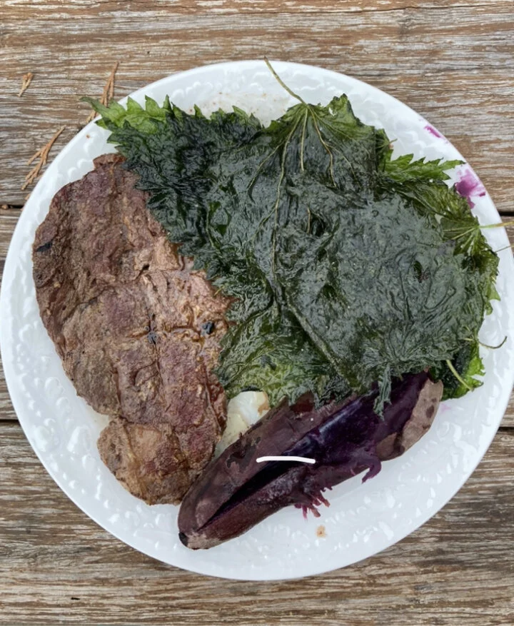 Foraging for Nettles and making Nettle Chips — Anisa Woodall, MS CN