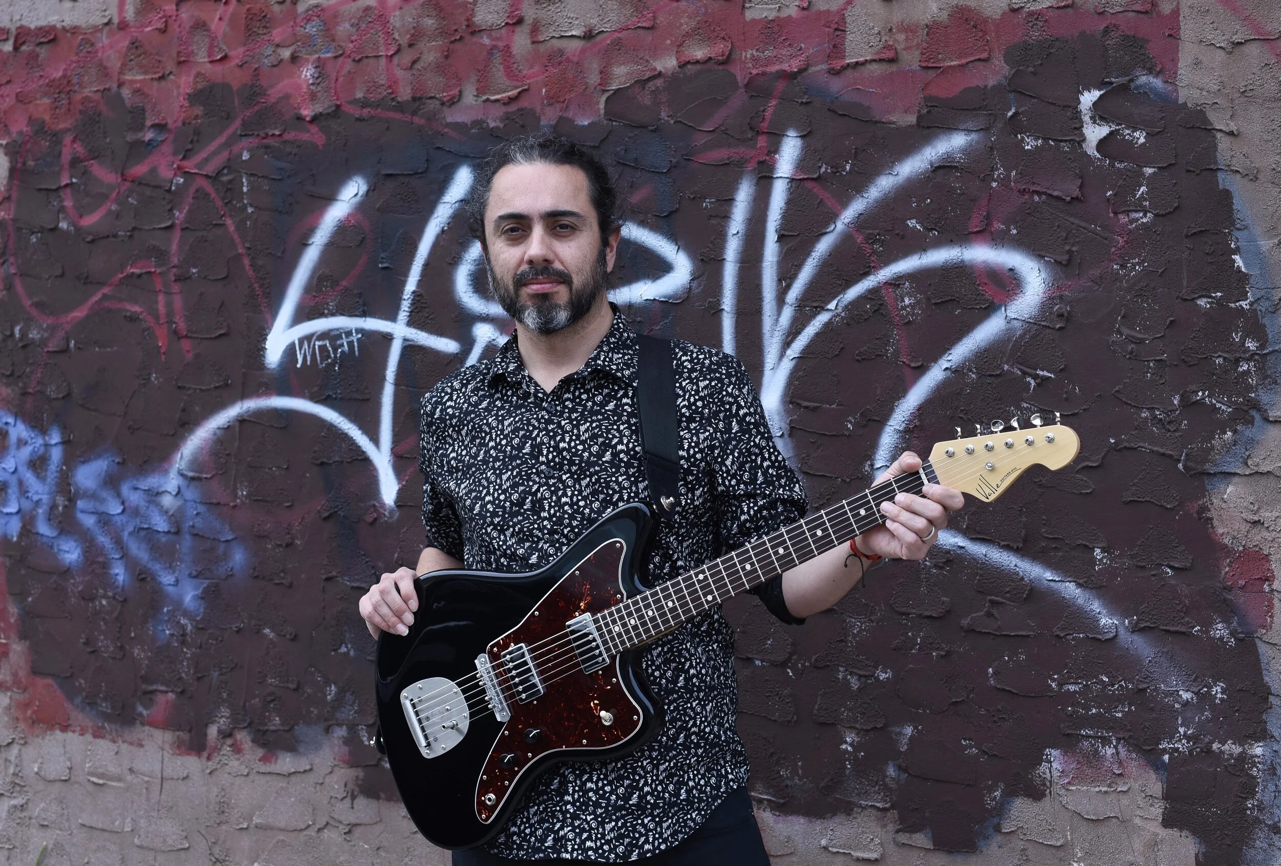 artists — valle guitars