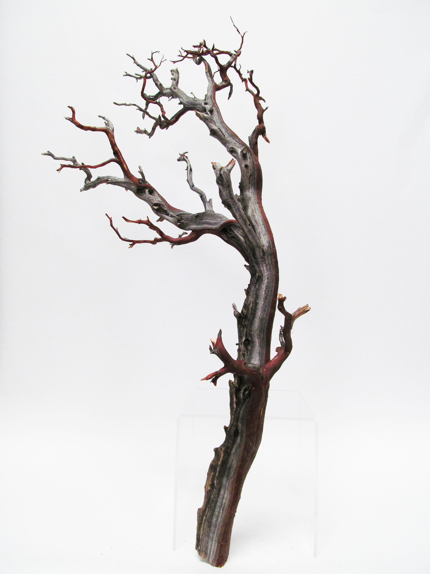 Natural Products — CC Design