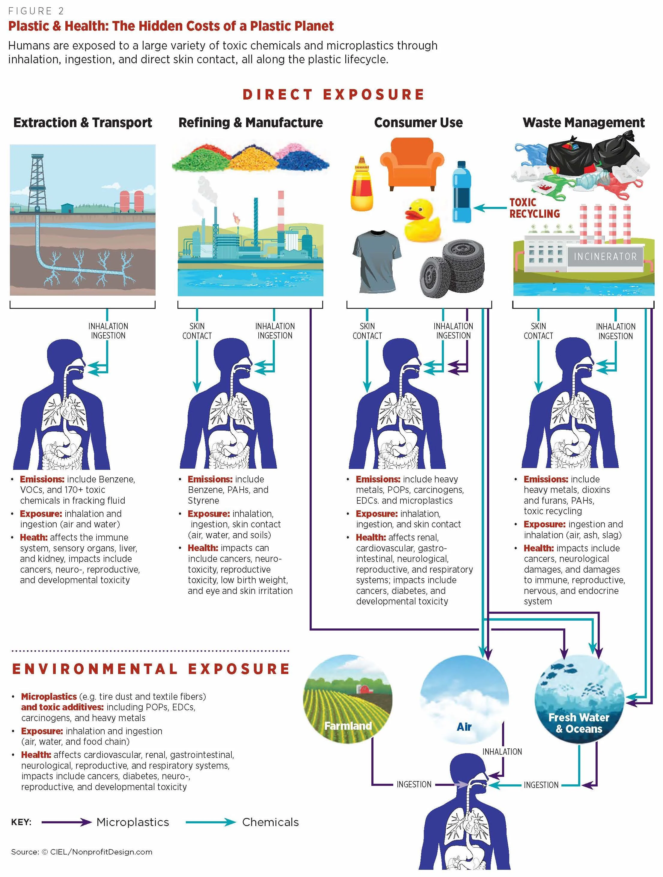 Plastic Effects On Humans _ Effects Of Plastic Pollution On Humans – CDJF