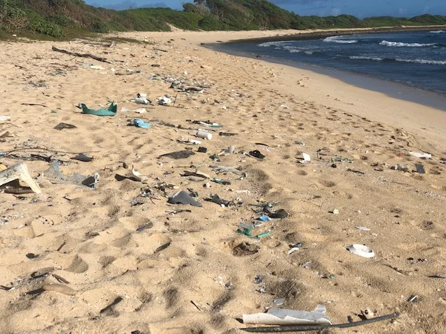 Hawaii’s Plastic Beach — Plastic Pollution Coalition