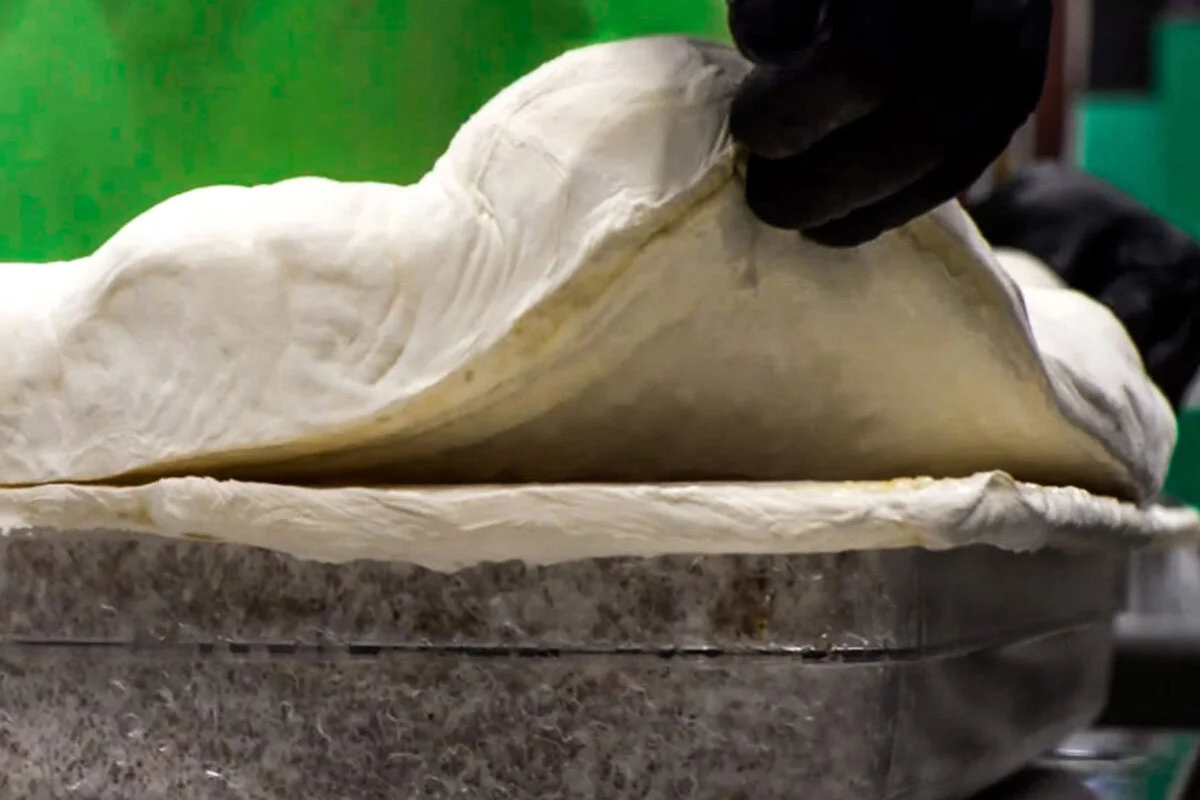 The Groundbreaking Mycelium Growth Behind Ecovative Design — Plastic ...