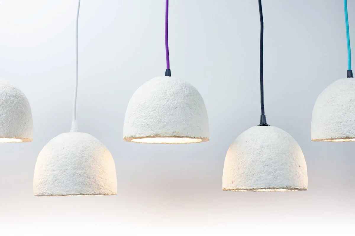 The Groundbreaking Mycelium Growth Behind Ecovative Design — Plastic ...