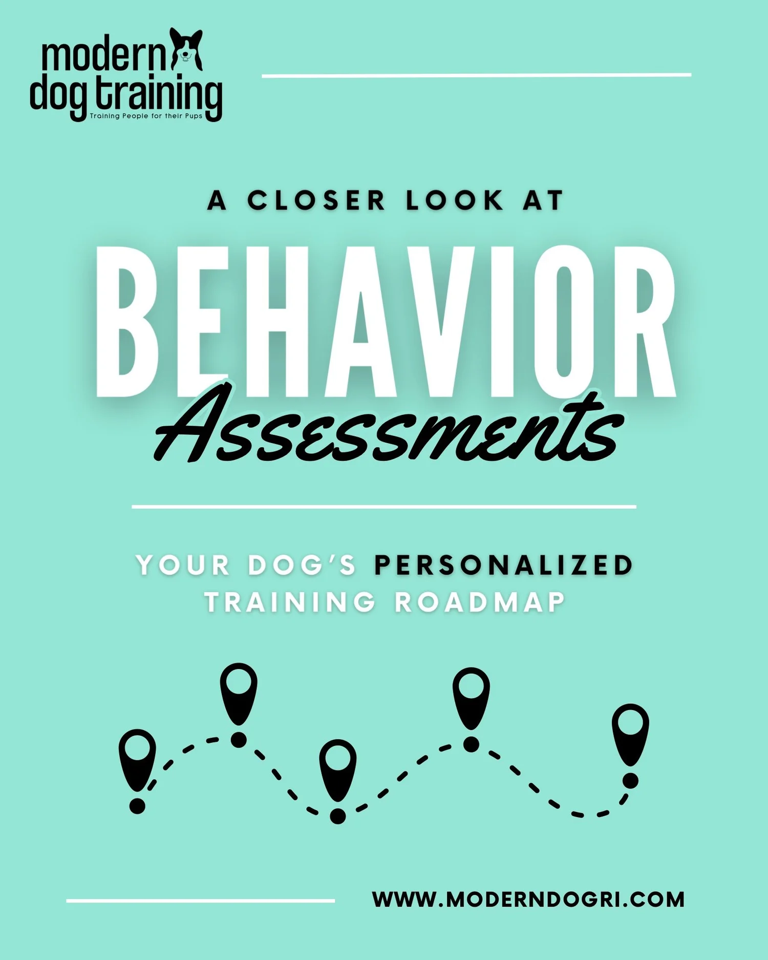 Modern Dog Training Blog — Modern Dog Training RI