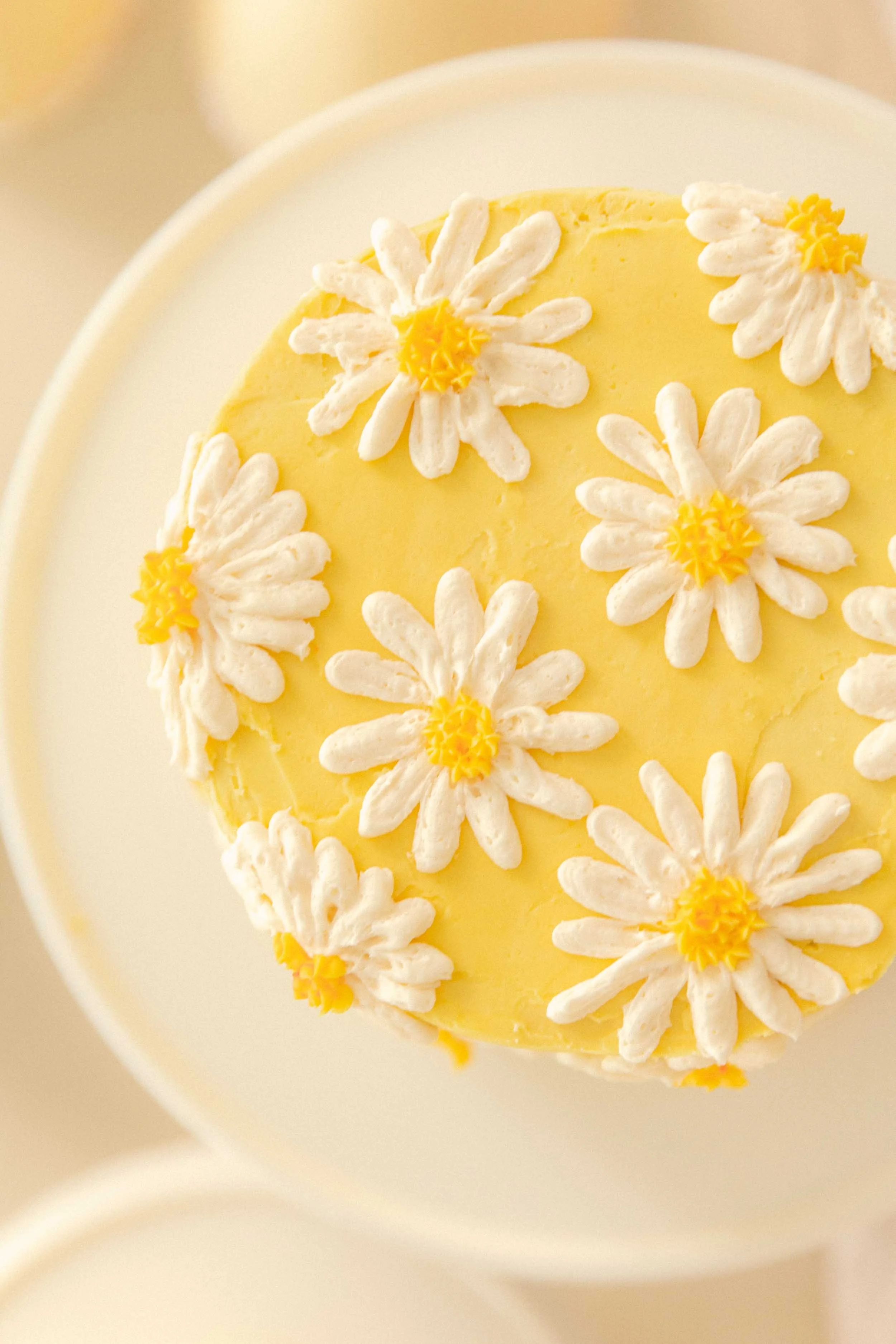 DAISY INSPIRED FIRST BIRTHDAY PARTY — Plaited Portraits