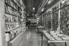 5 BEST LOCAL BOOKSTORES IN CALGARY — Plaited Portraits