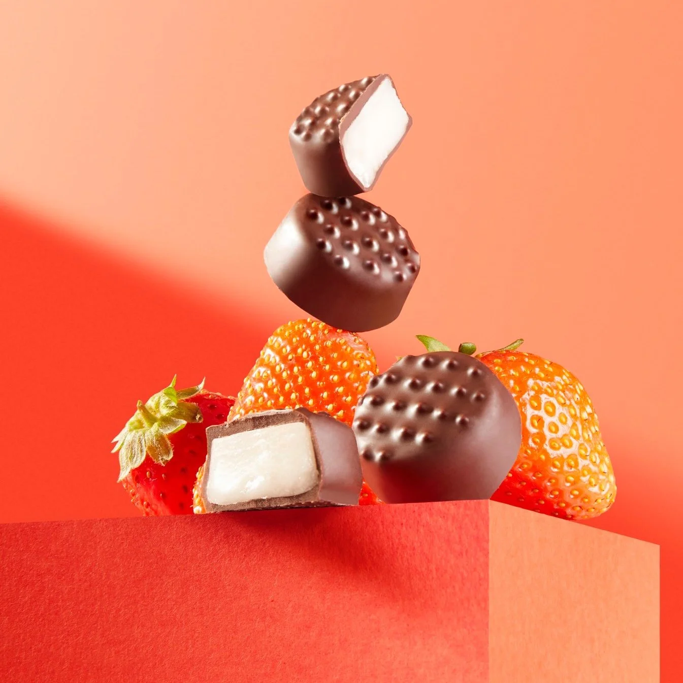 Still Life — Rowan Butler Photo