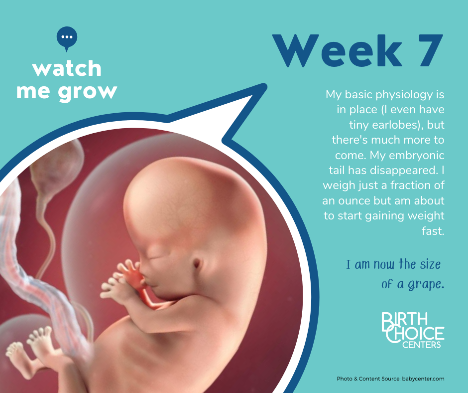 Watch Me Grow — Birth Choice Centers