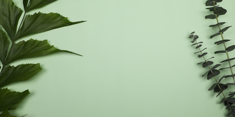 Our Team of Psychologists — Advantage Psychology