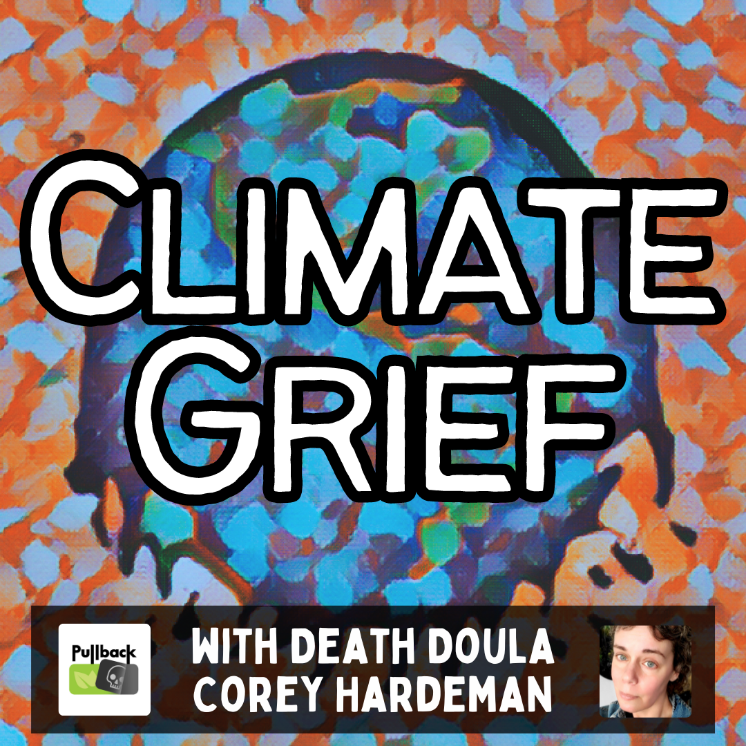 Our First 100 Episodes — Pullback Podcast