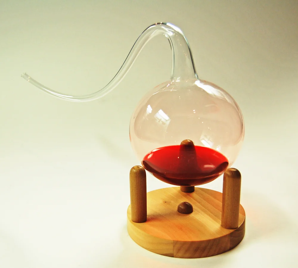 Pasteur's Swan Neck Flask — Worcester Medical Museums