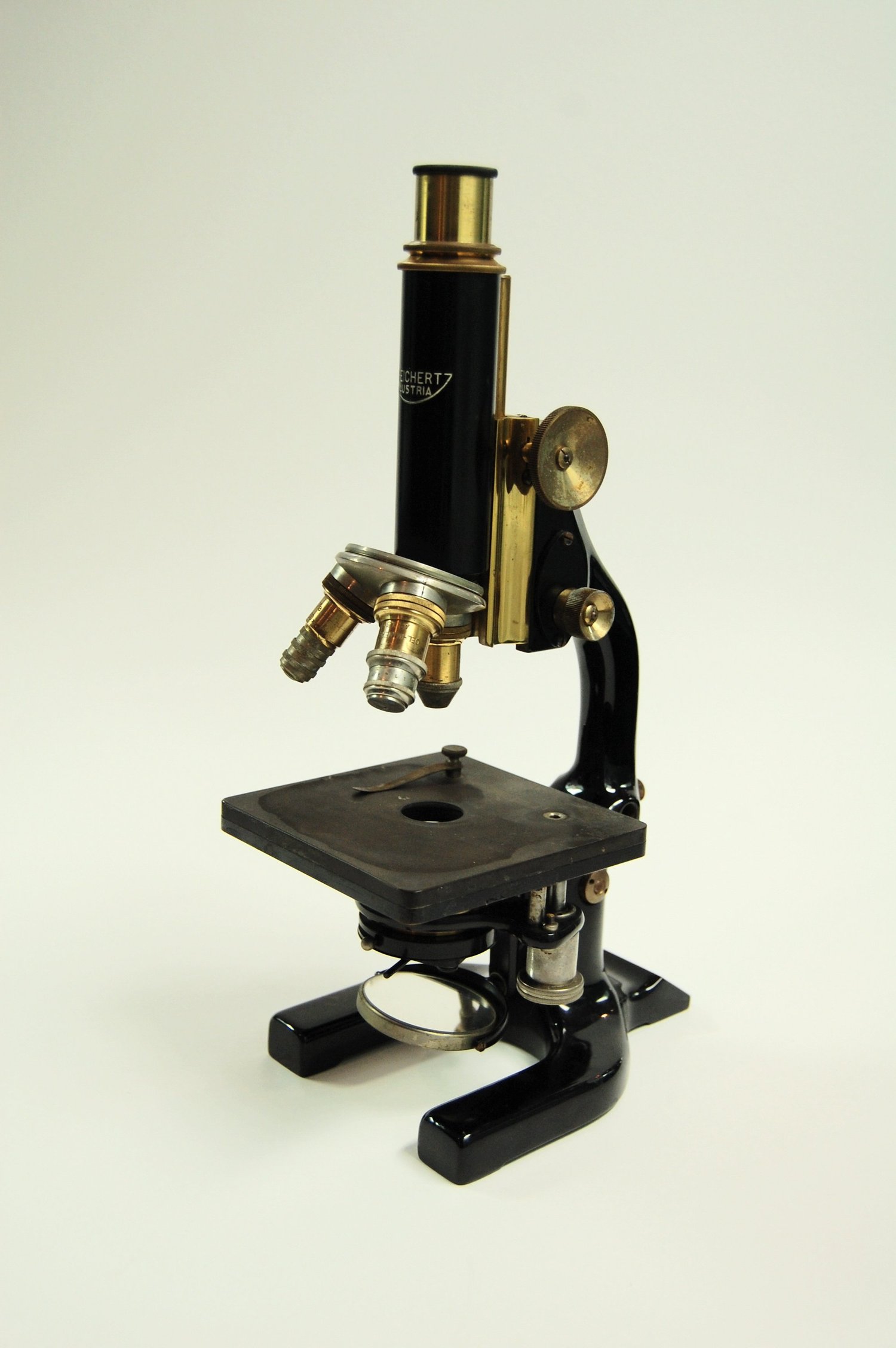 Collection Highlights — Worcester Medical Museums
