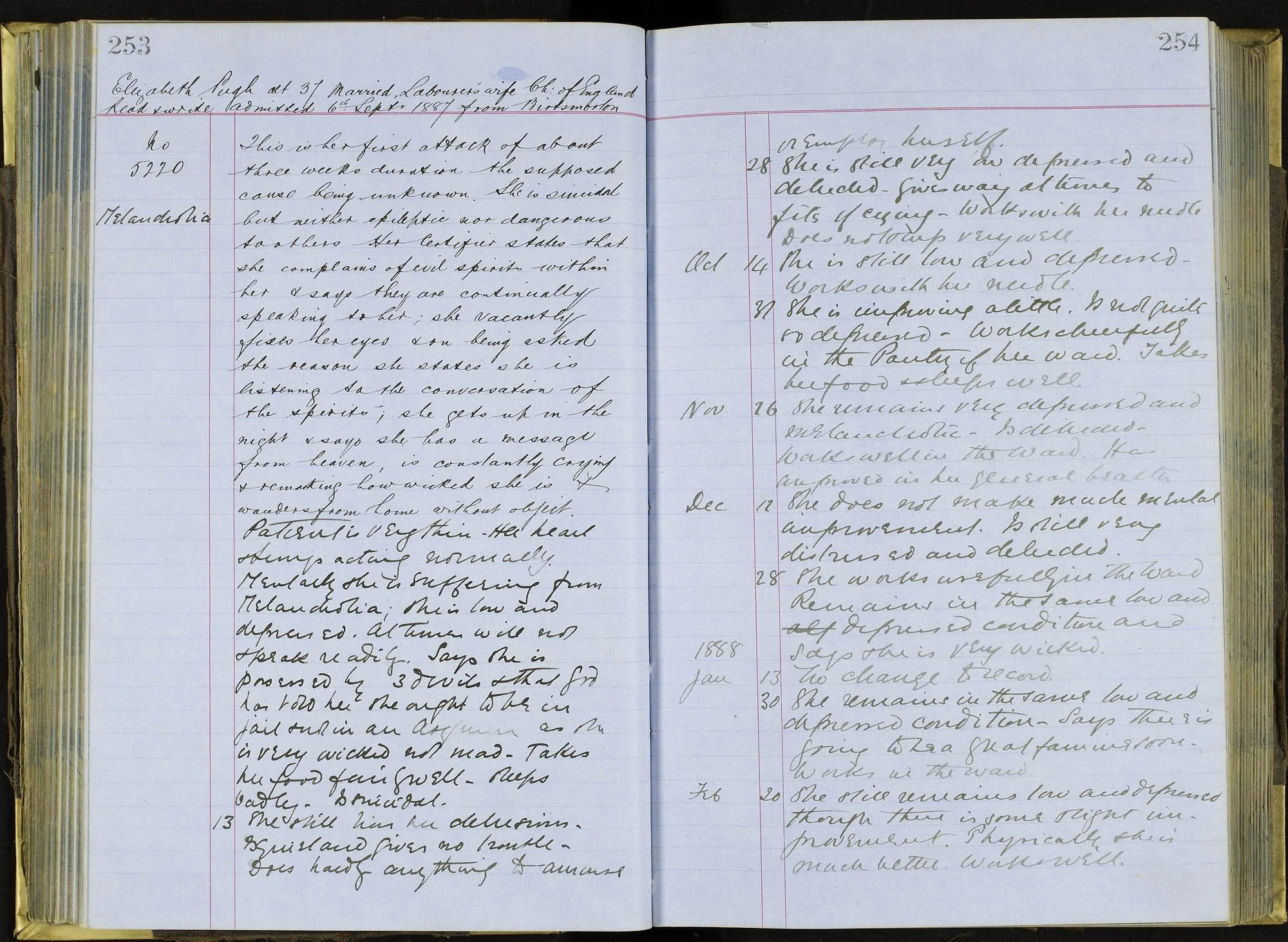 Elizabeth Pugh - Outside the Asylum — Worcester Medical Museums