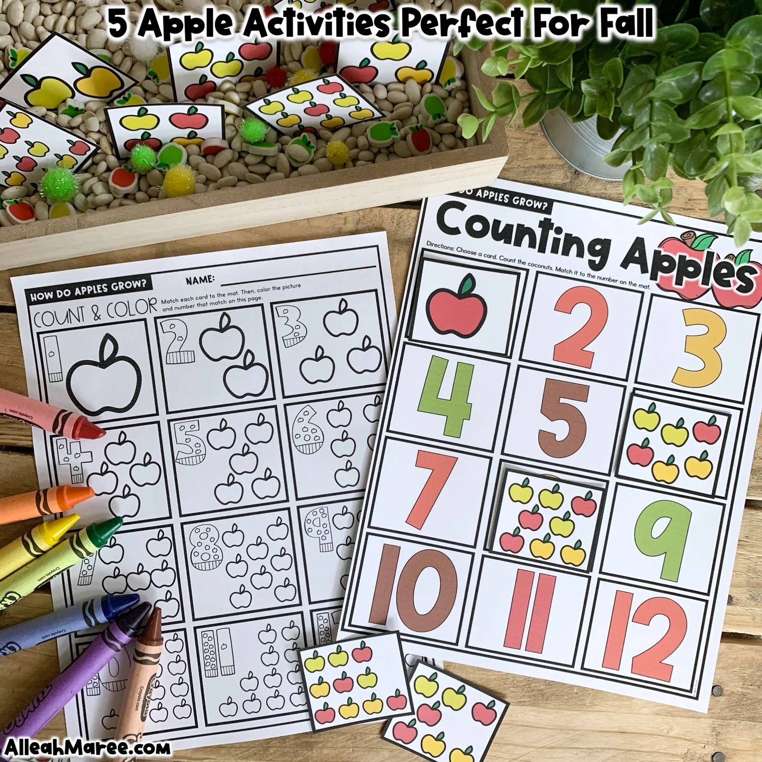 5 Apple Activities Perfect for Fall — Alleah Maree