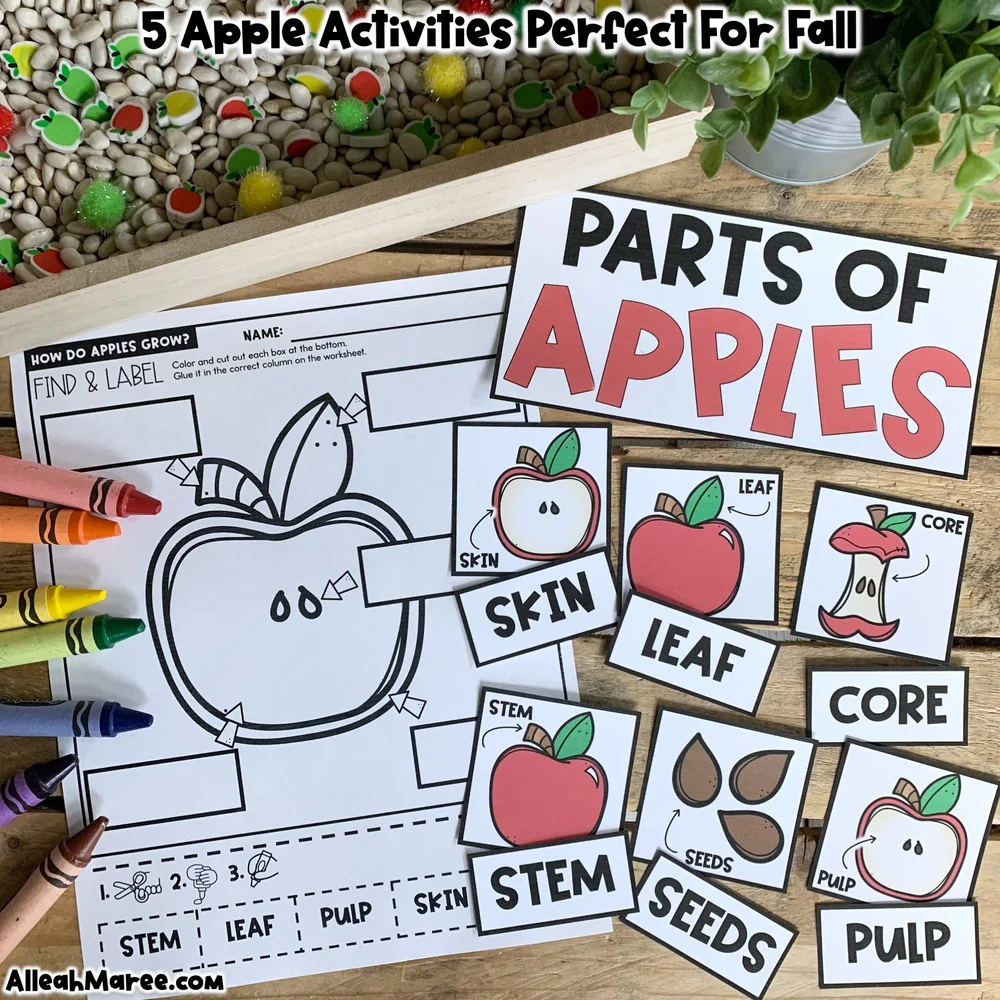 5 Apple Activities Perfect for Fall — Alleah Maree