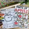 5 Apple Activities Perfect for Fall — Alleah Maree