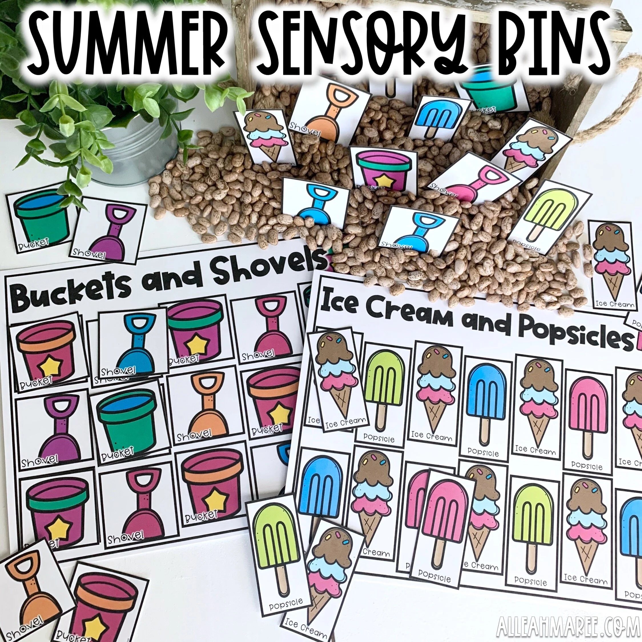 6 Engaging Summer Activities for Students — Alleah Maree