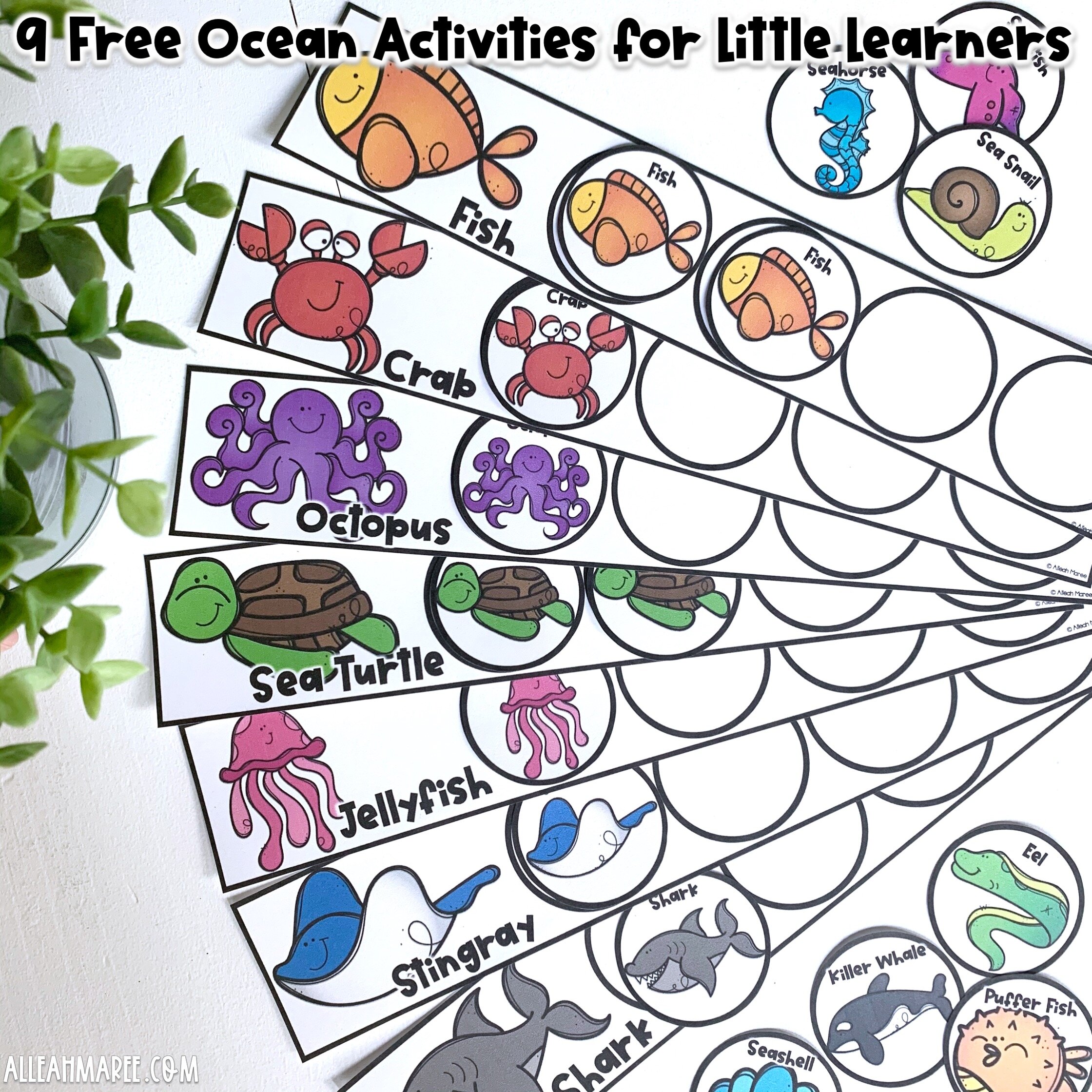 9 Free Ocean Activities for Little Learners — Alleah Maree