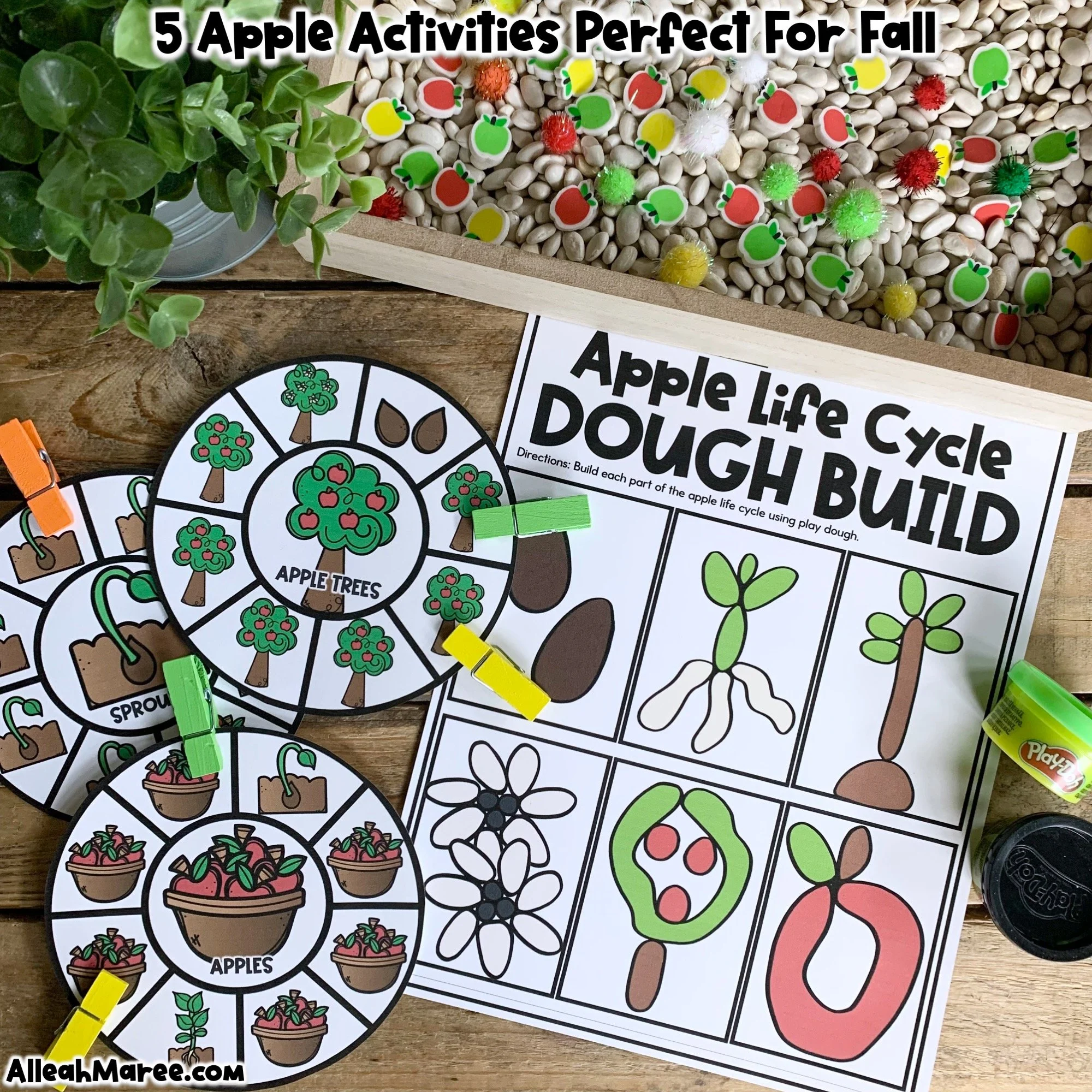 5 Apple Activities Perfect for Fall — Alleah Maree