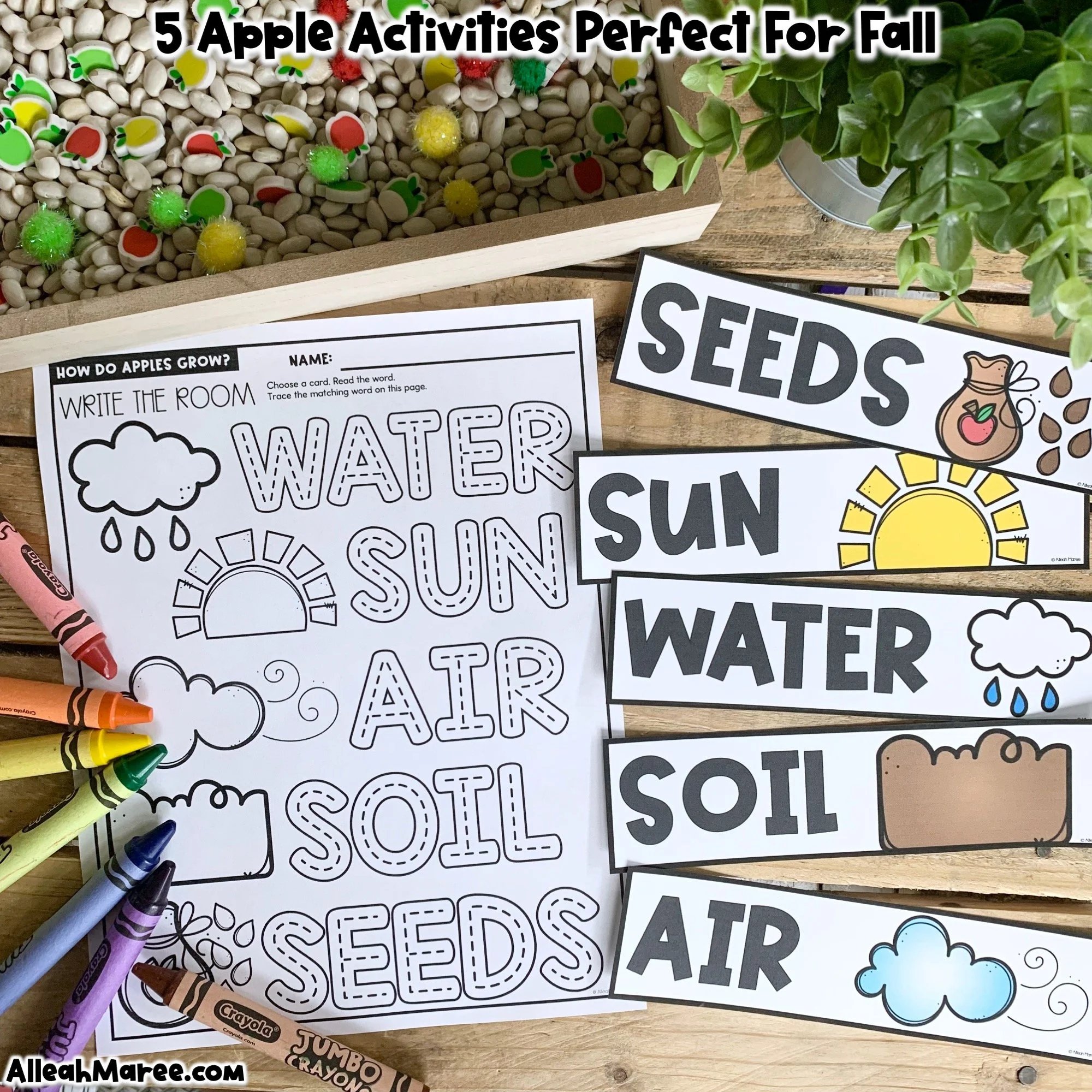 5 Apple Activities Perfect for Fall — Alleah Maree