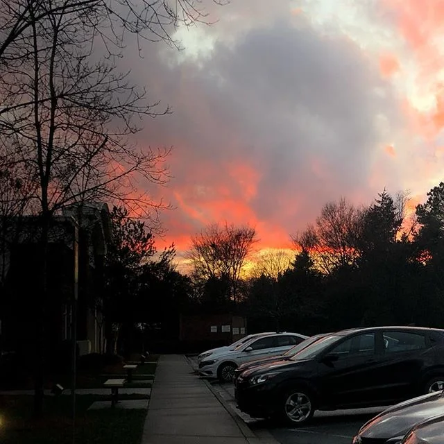 Beth — Bella Bello