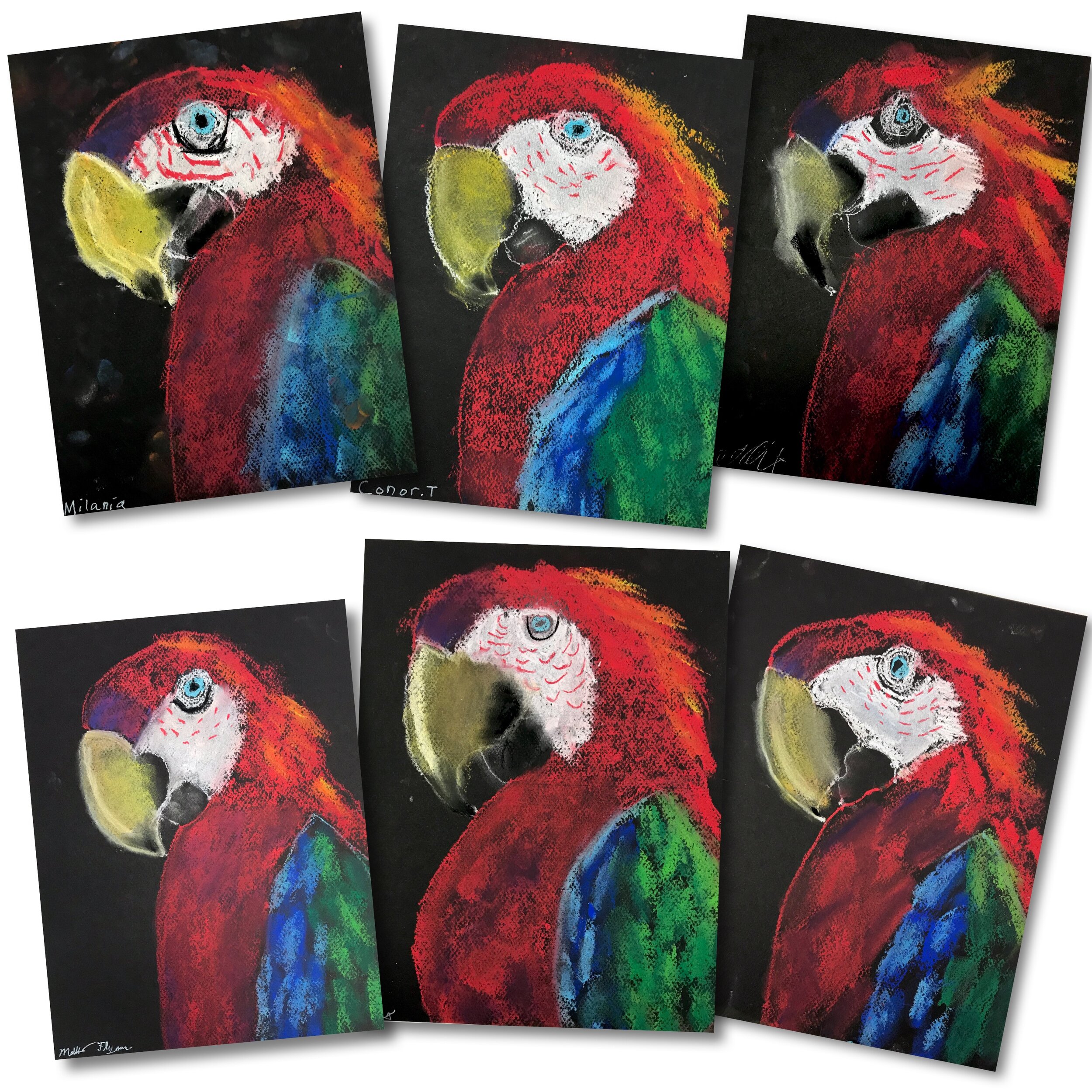 Gallery of Student Work — Art Spot Studio