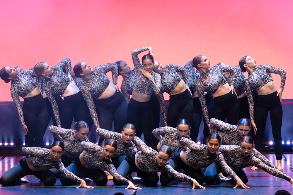 TROUPE — Action Dance Academy