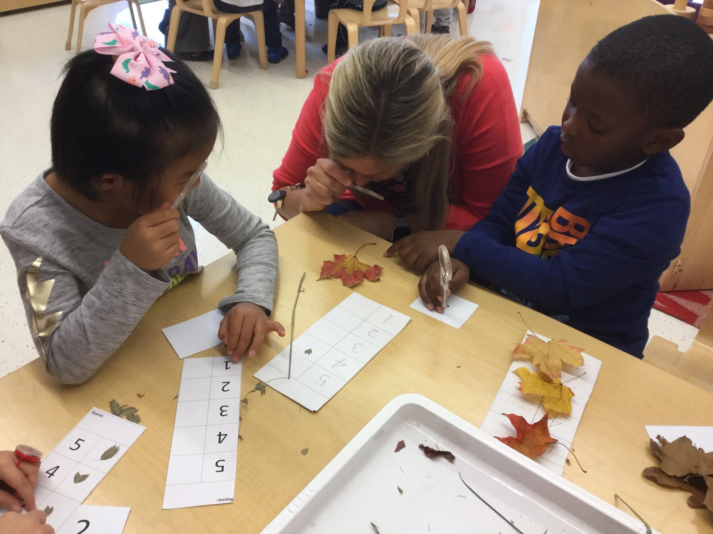 STREAMin3 Curriculum - E3 School