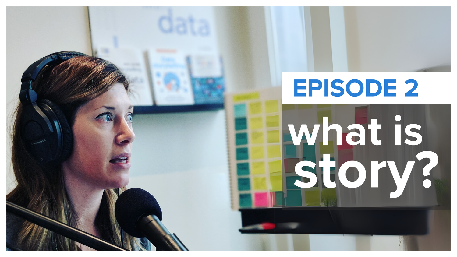 storytelling with data podcast - improve your data visualization and ...