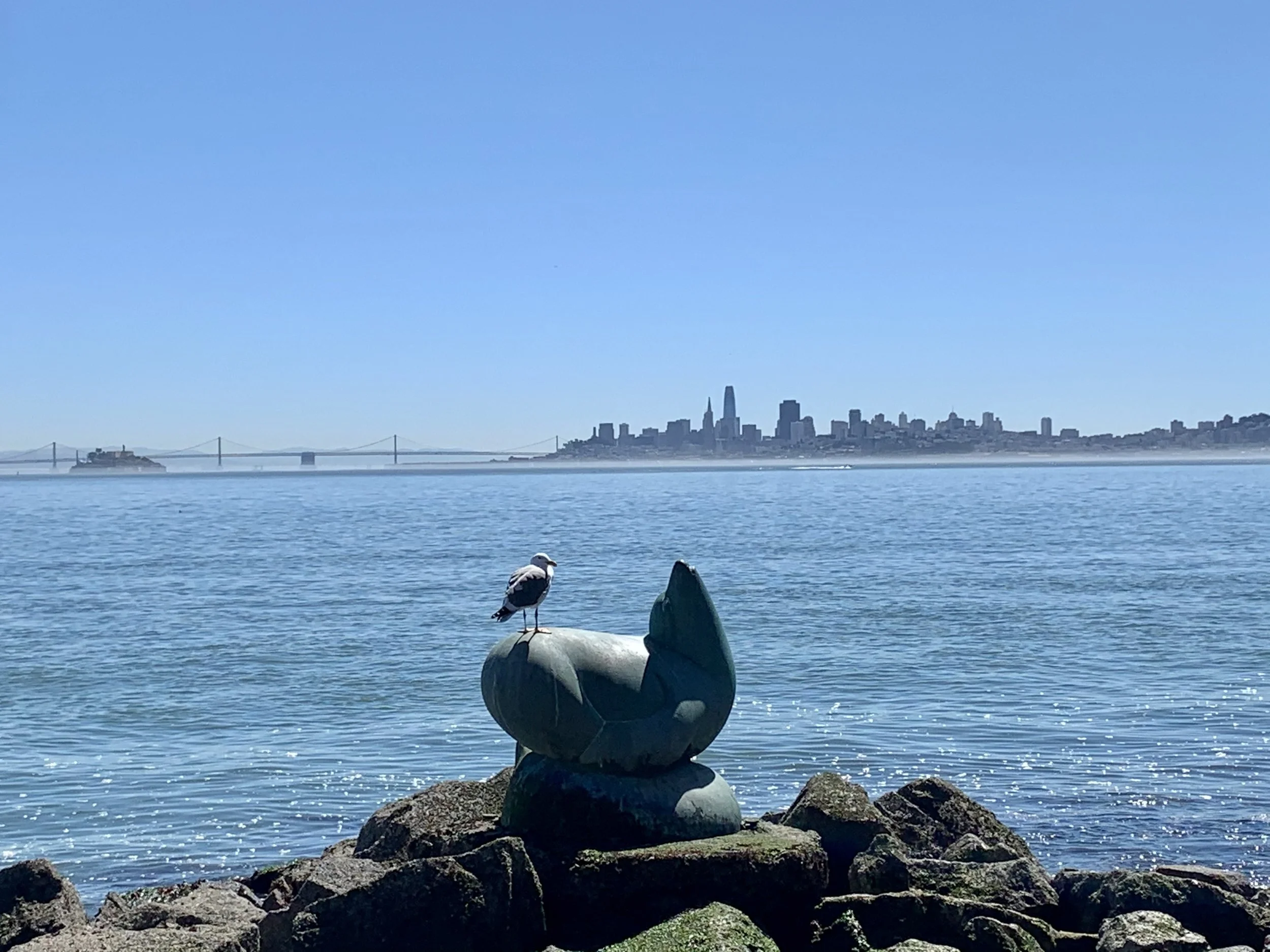 Elpida Residential Programs