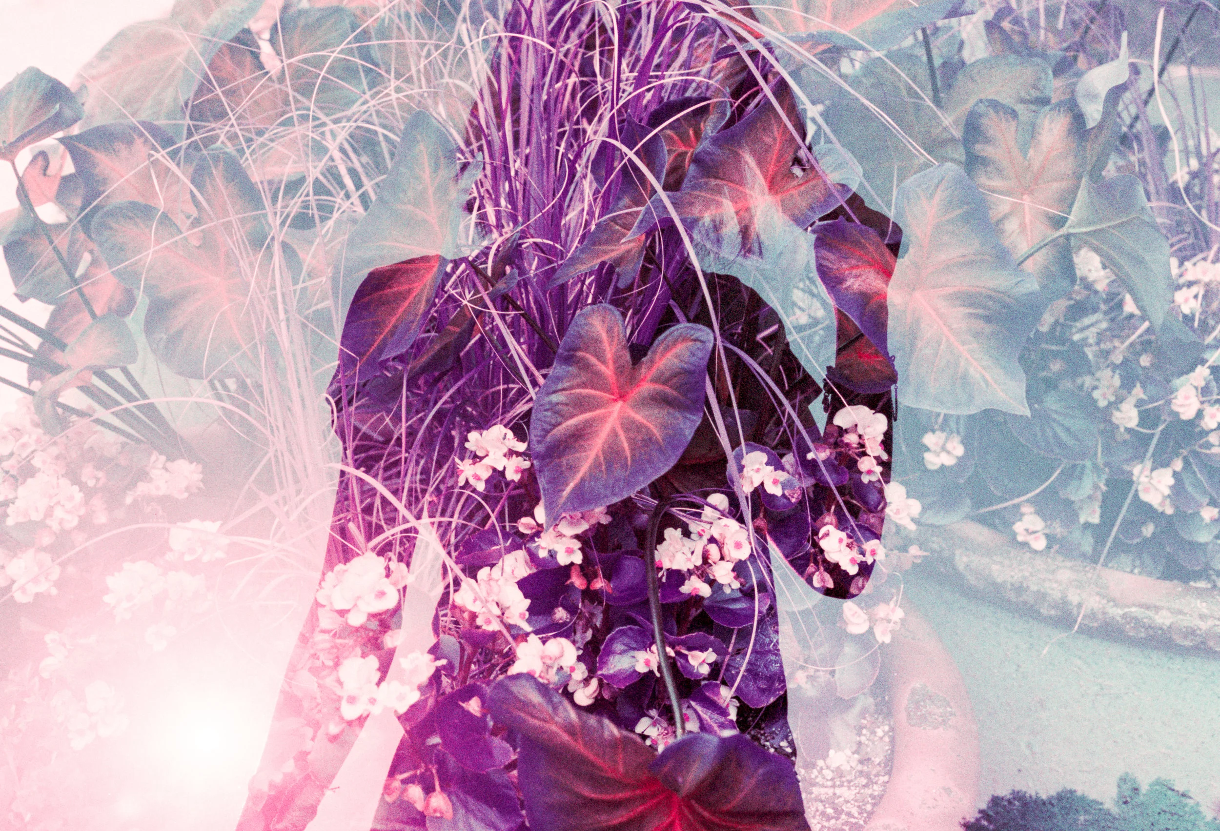 Garden Hearts — Hayden Clay