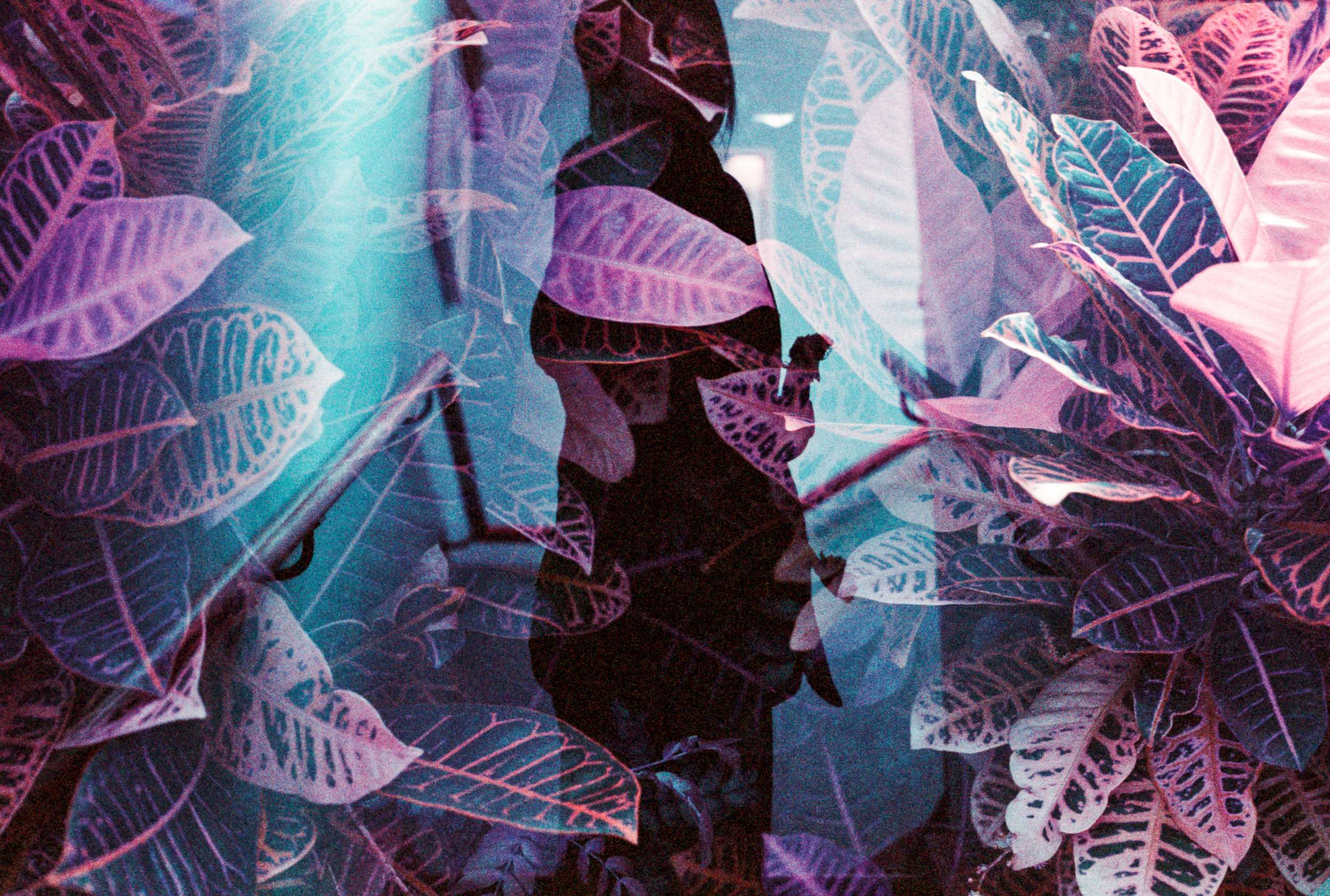 Curated — Hayden Clay