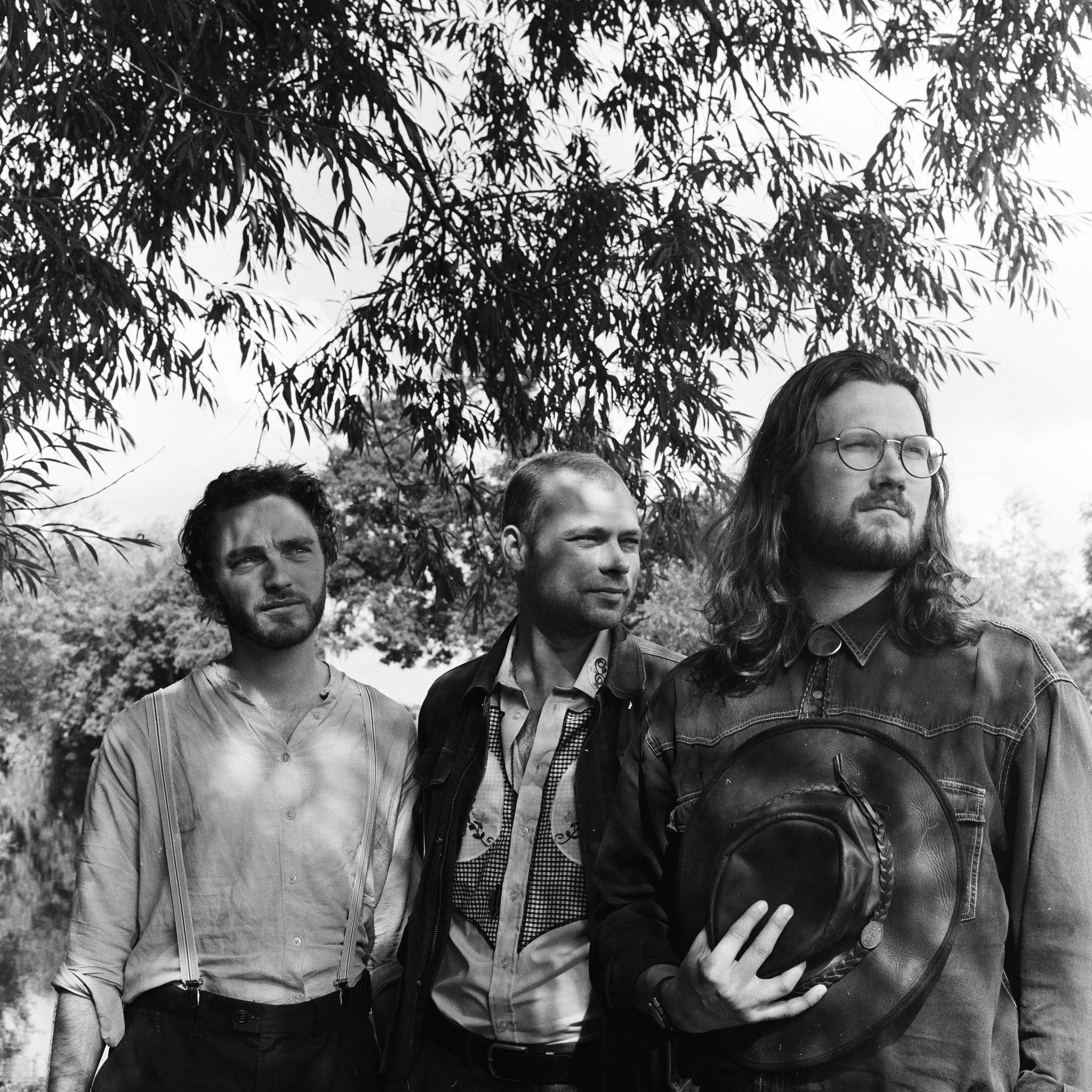 Music — Hyde Park Book Club