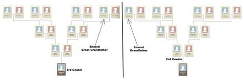 Getting Started — Search Angels