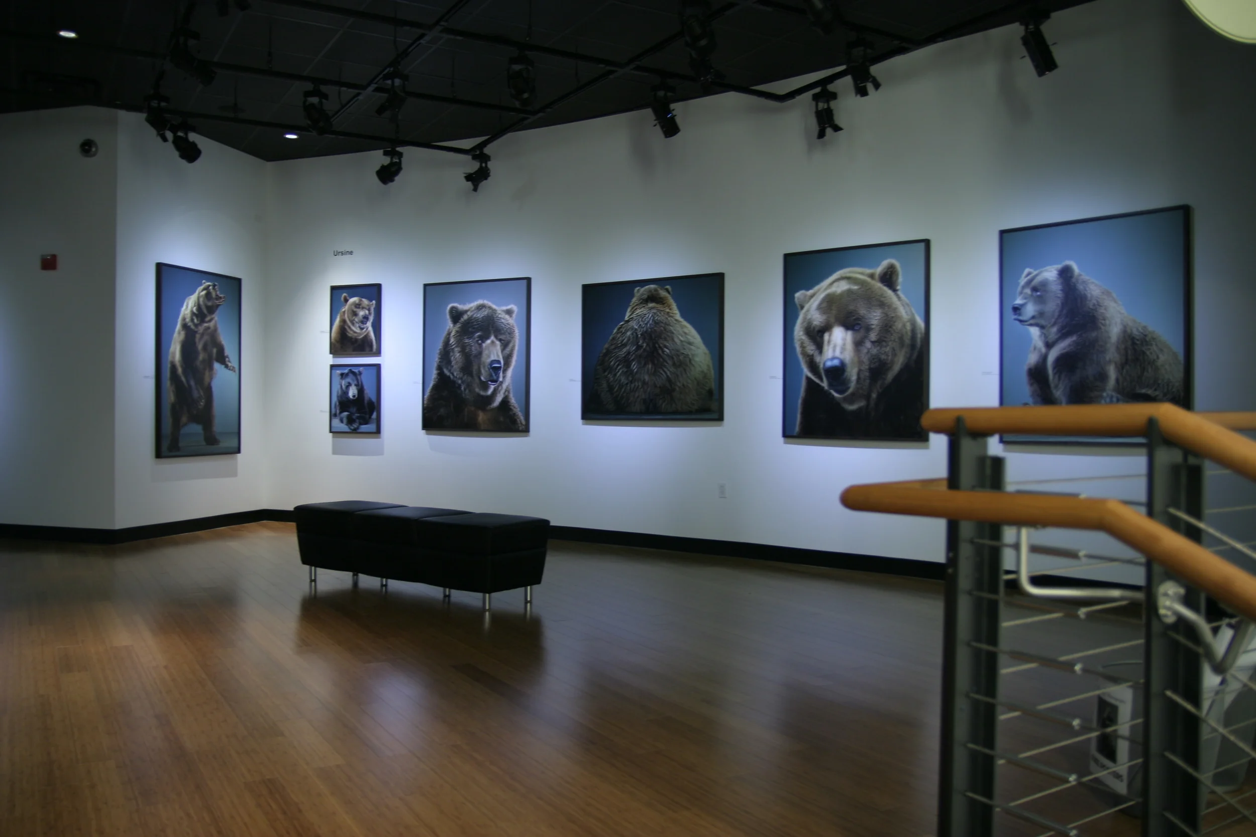 Info — Jill Greenberg Studio