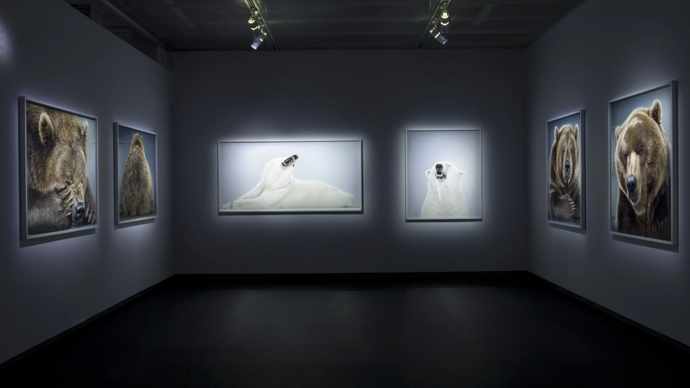 Info — Jill Greenberg Studio